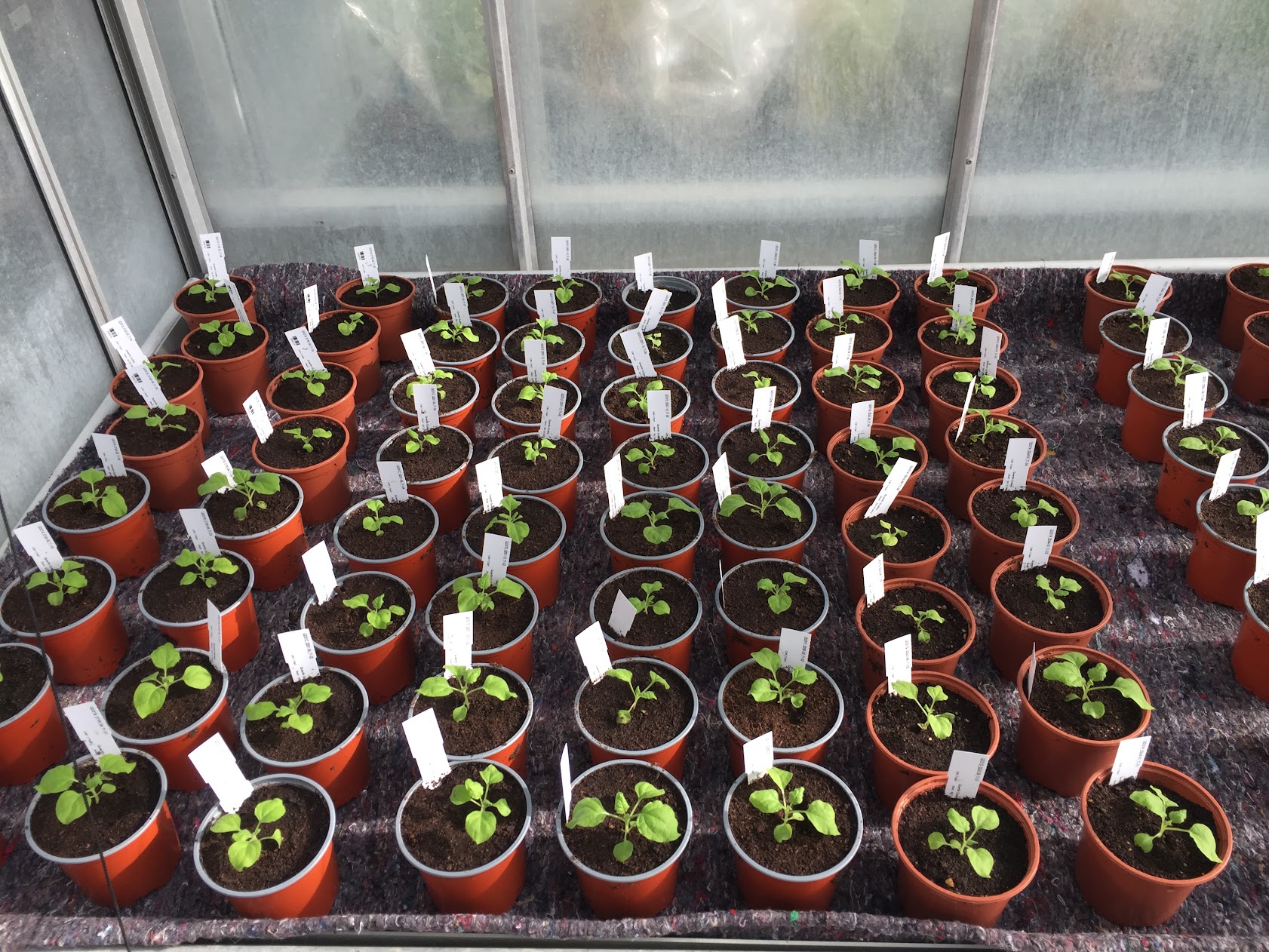 Home – Dudley Lab – UW–Madison