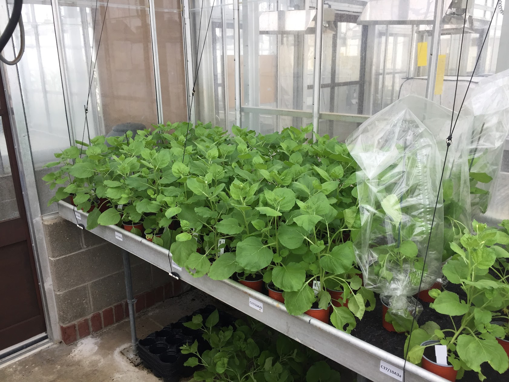 Home – Dudley Lab – UW–Madison